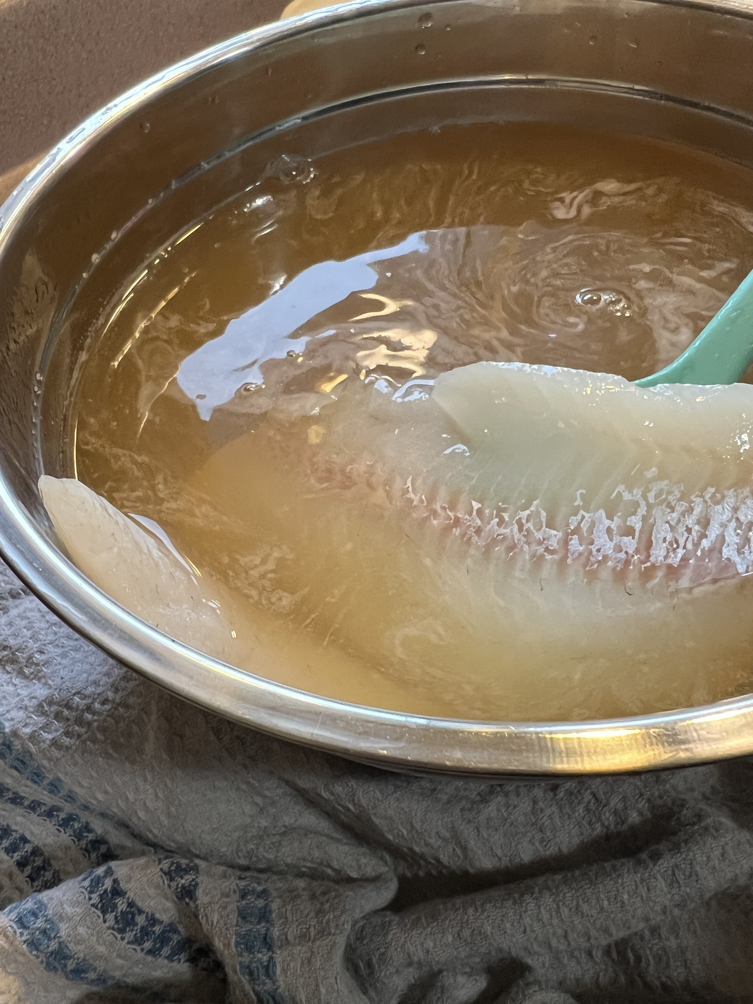 Fish Brine Recipe and Why I Brine the Fish I Catch - Why We Hunt
