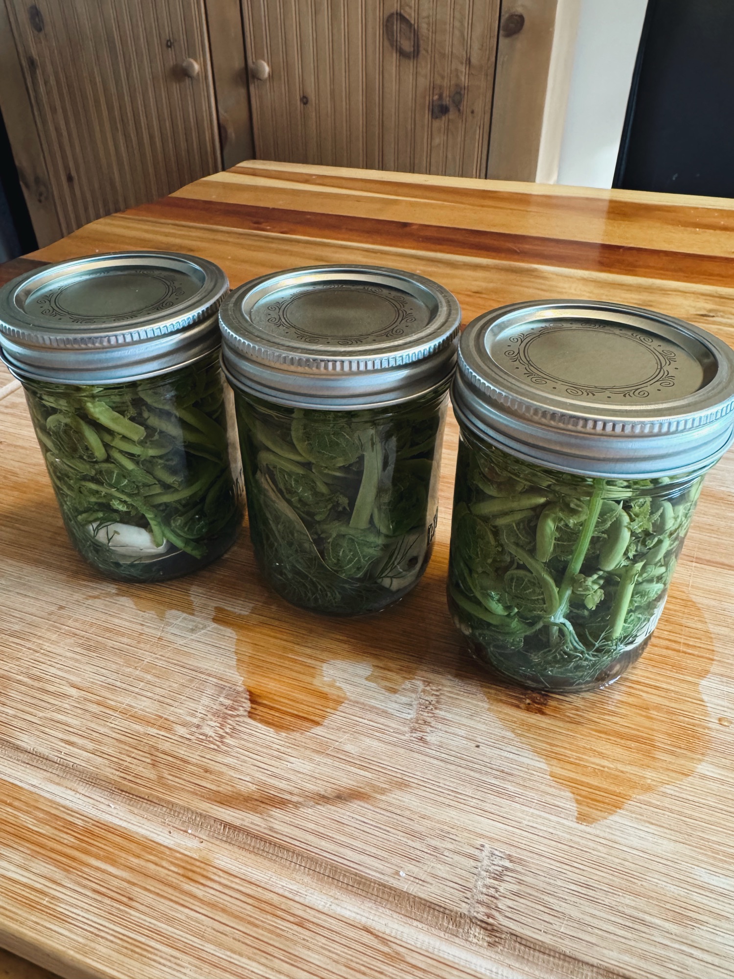 Pick, Preserve and Pickle Wild Fiddleheads - Why We Hunt